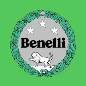 Italika DM250 – Elektra Motos Polanco